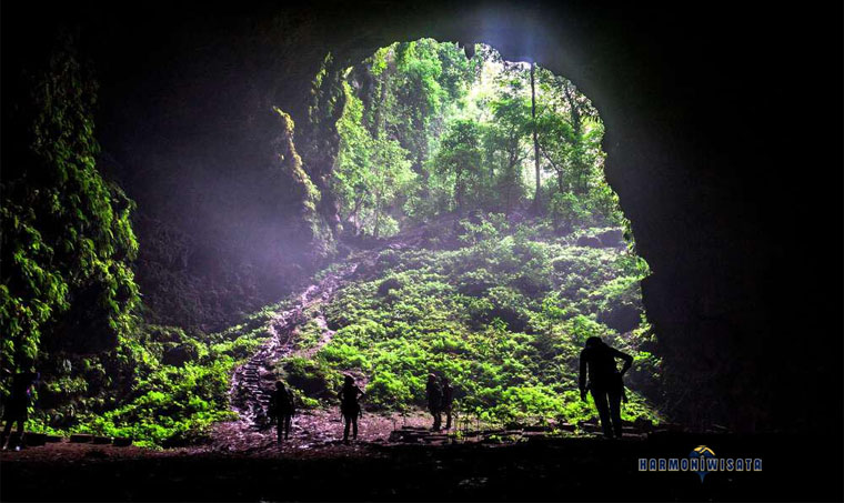 Goa Jomblang Yogyakarta: Wisata Alam dengan Cahaya Surga