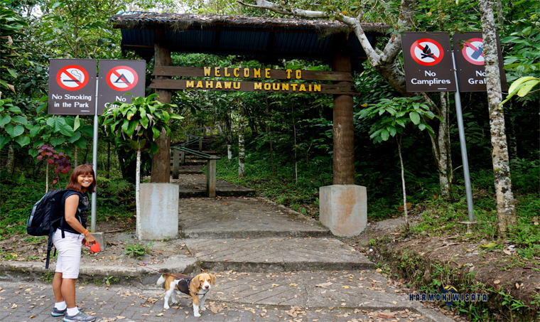Gunung Mahawu Tomohon: Kawah Aktif & Wisata Alam Mudah Diakses